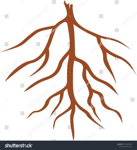 Example Taproot Vector Design Stock Vector Royalty Free 1518225467 Shutterstock