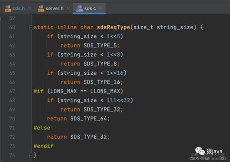 Redis SDS专题 CSDN博客