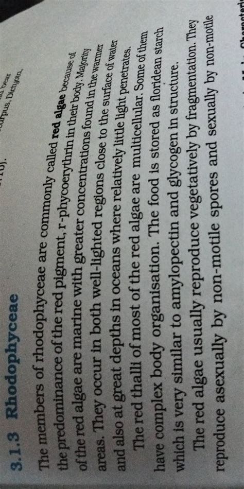 313 Rhodophyceae The Members Of Rhodophyceae Are Commonly Called Red Al