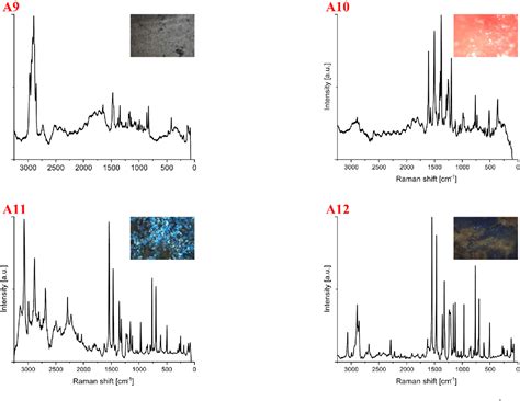Figure 2 From The Raman Spectroscopy Approach To Different Freshwater Microplastics And