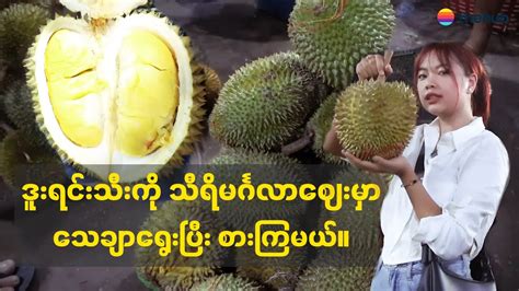 ငွေ၃သောင်းကျပ်တည်းနဲ့ သီရိမင်္ဂလာစျေး တစ်ဝိုက်မှာ ဒူးရင်းသီးအဝပတ်စားမယ်။ Youtube