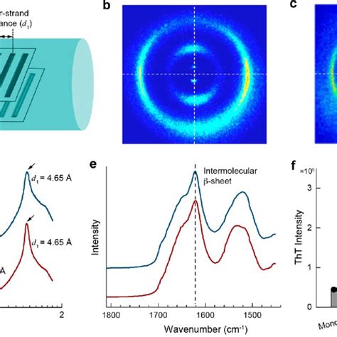 Characterization Of Amyloid Structures A Scheme Of Cross β Structure