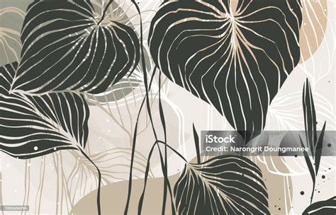 벽 장식 엽서 또는 브로셔 커버 디자인에 대한 다른 모양과 현대 추상 잎 라인 아트 배경 벡터 일러스트 디자인 0명에 대한 스톡 벡터 아트 및 기타 이미지 Istock