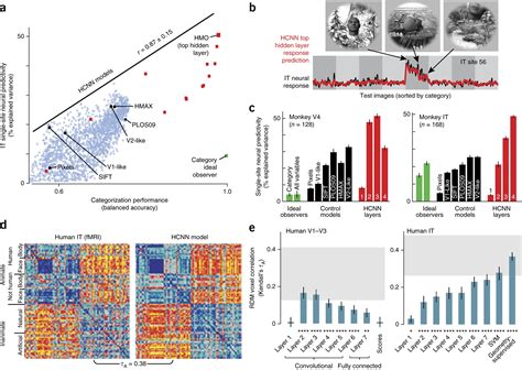 Feed Forward Networks Introduction