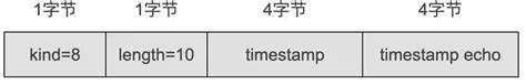 计算机网络基础（十）传输层——tcp协议特点和报文格式 阿沛it博客