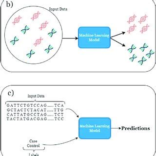 Machine Learning Types A Supervised Learning B Unsupervised Download Scientific Diagram