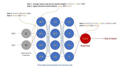 The Basic Architecture Of Fully Connected Neural Networks Fnns This