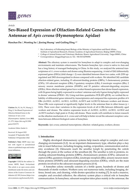 Pdf Sex Biased Expression Of Olfaction Related Genes In The Antennae