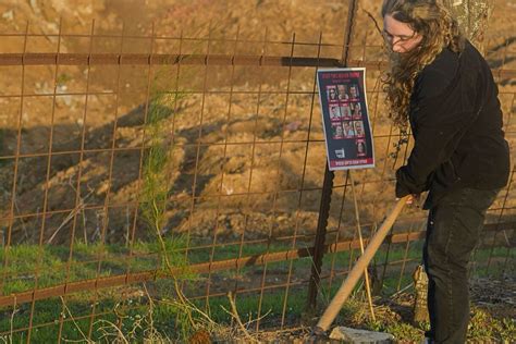 טו בשבט בבארי חברי הקיבוץ נטעו עצים בקריאה להחזרת החטופים אתר החדשות דבר