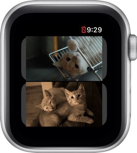 Watchos With Swiftui By Tutorials Chapter 6 Notifications Kodeco