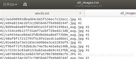 【python】制作lmdb数据集文件（文件统一命名 数据增强 获取traintxt和testtxt）lmdb文件时会出现killed问题