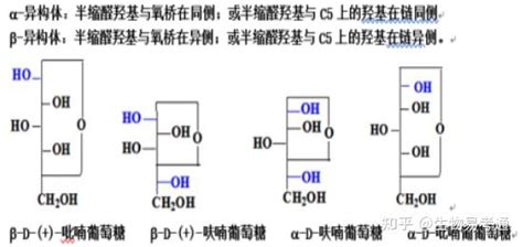 生物化学高频考点（二）之单糖的结构内容及思维导图 知乎