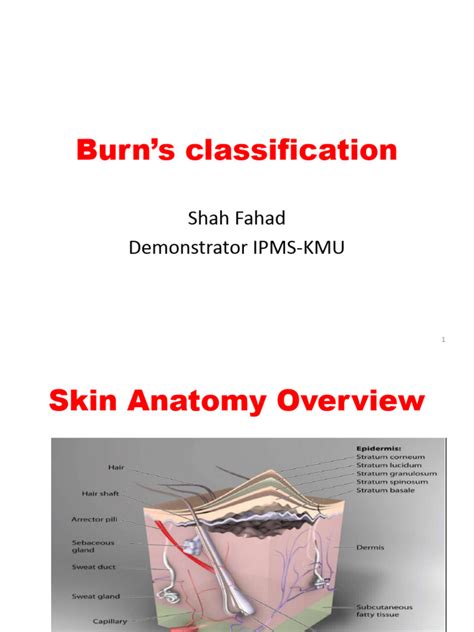 02 Burns Classification Pdf Burn Skin