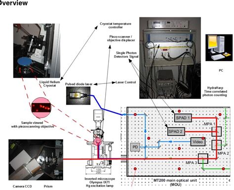Non Blinking Cdse Cds Core Shell Quantum Dots Observed With Fluorescence Lifetime Microscopy