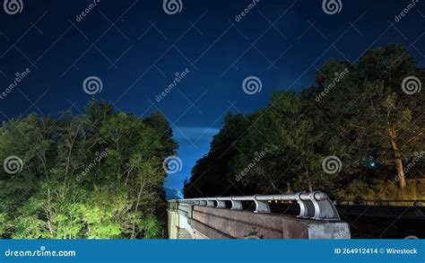 Scenery With A Bridge Passing Through Green Leafy Terrain At Night