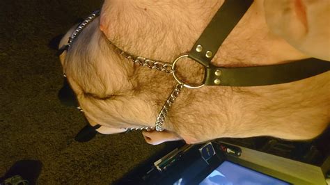 Dom Fun Pics XHamster