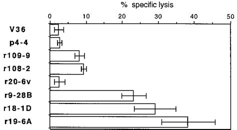 Viral Target Antigen Specificity Of Polyclonal Ctl Preparations From Download Scientific