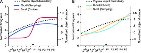 Population Object Tuning Curves Of Q Cells And S Cells A The Download Scientific Diagram