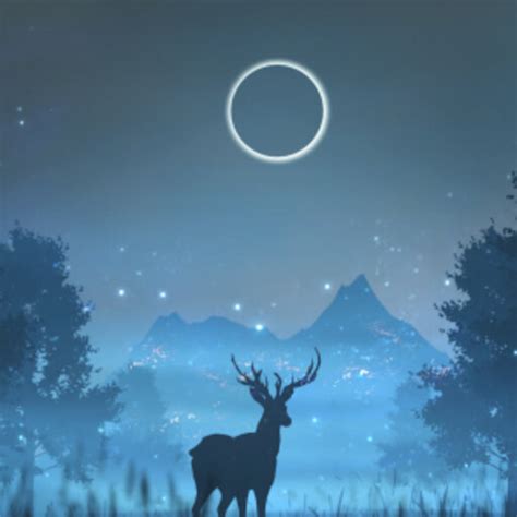 Wenqi Chen Bachelor Of Engineering Research Profile