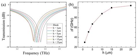 Low Concentration Biological Sample Detection Using An Asymmetric Split