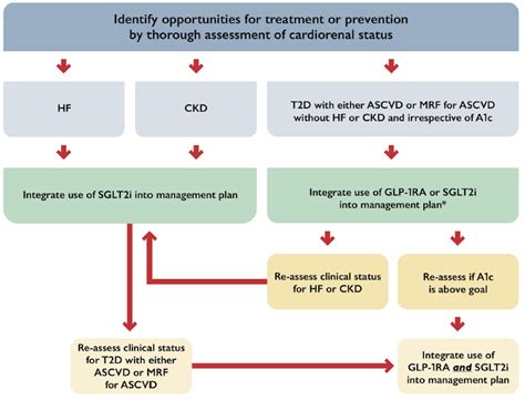 降低成人心肾风险，加拿大最新指南推荐 Glp 1受体激动剂和sglt2抑制剂 应用 患者 治疗