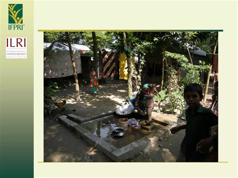 Gender Agriculture And Assets Conceptual Framework Pdf