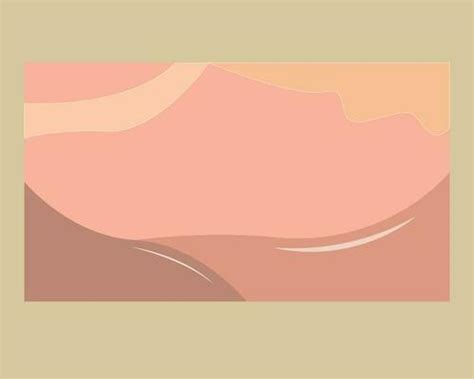 Page 2 Human Skin Layers Vector Art Icons And Graphics For Free