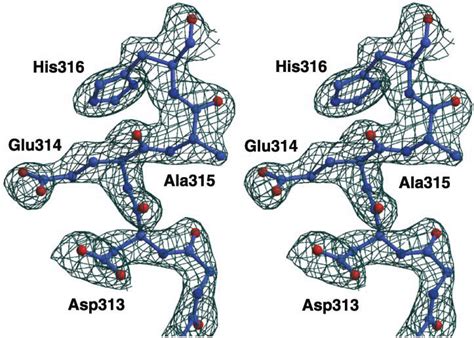 Stereo View Showing The Experimental Electron Density Map For A Region