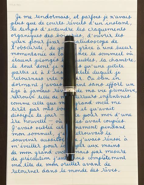 My Partner Surprised Me With My Very First Flex Nib Pen For Christmas And I Havent Been Able To