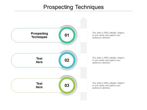 Prospecting Techniques Ppt Powerpoint Presentation Outline Infographics Cpb Powerpoint Slides
