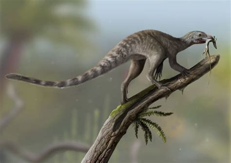 New Triassic Fossil Features Sharp Claws And A Nasty Beak Ars Technica
