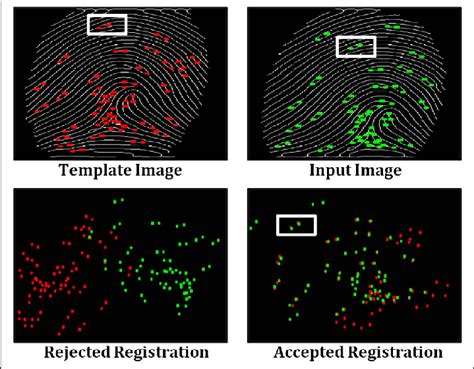 Registration Of Two Images For The Same Fingerprint Features Download Scientific Diagram