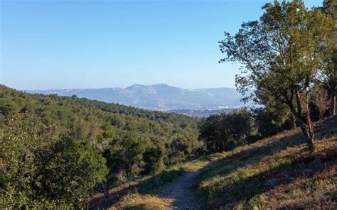 Forêt de Janas Balades dans le Var La Seyne Tourisme