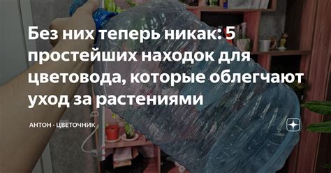 Без них теперь никак 5 простейших находок для цветовода которые облегчают уход за растениями