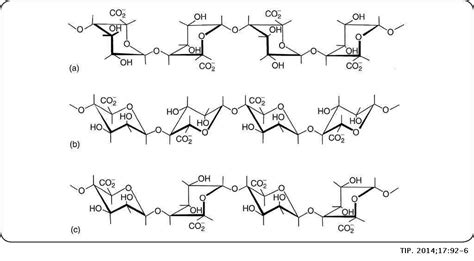 Biomaterials Based On A Natural Polysaccharide Alginate Tip Revista Especializada En
