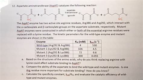 Solved To 12 Aspartate Aminotransferase Aspat Catalyzes
