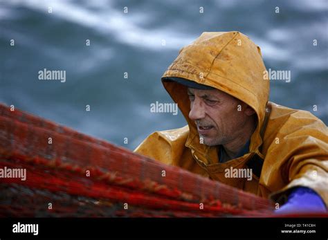 On Fishing Trawler In Irish Sea 4 Man Crew Work On 1 Of The Last