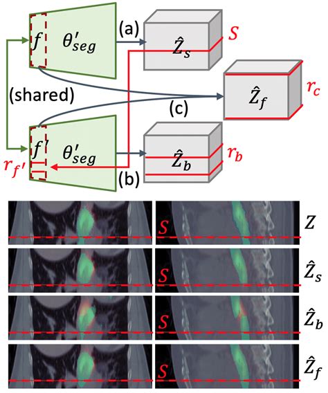 The Back Propagation By Activation Might Lead To Prediction Corruption Download Scientific
