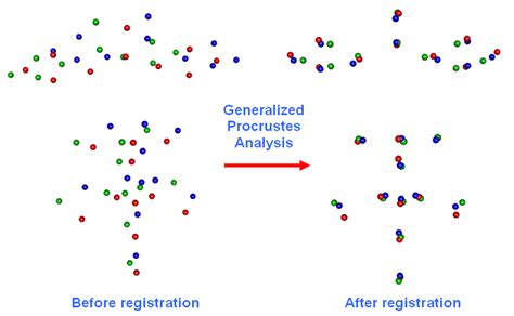 1 Generalized Procrustes Analysis Gpa Download Scientific Diagram