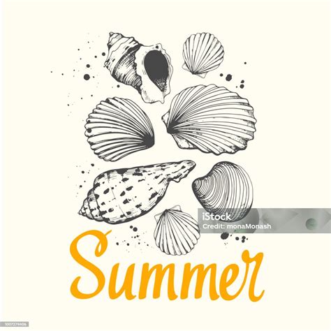 여행 스케치 스타일 핑크 배경에 바다 조개와 벡터 일러스트 디자인에 대 한 브러시 서 예 요소입니다 필기 잉크 레터링 가리비에 대한 스톡 벡터 아트 및 기타 이미지 Istock