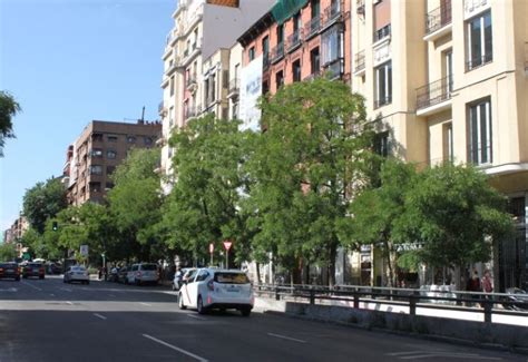 Varias Calles Sufrirán Alteraciones Por Obras De Conservación De Vías Públicas El Resurgir De