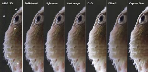 The Image Noise Reduction Challenge We Compare The Best Noise Reduction Software For