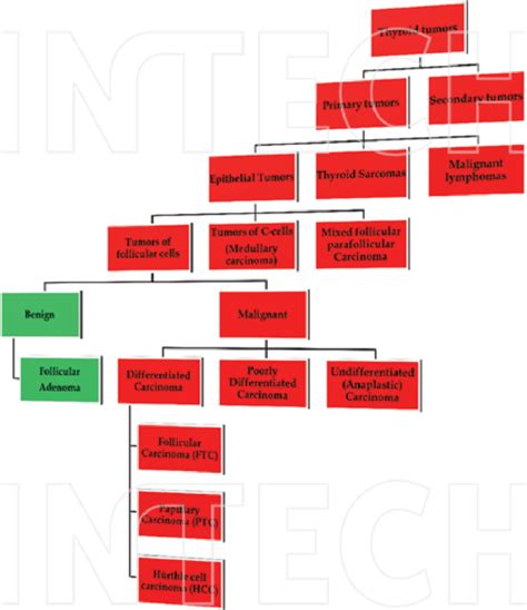 Classification Of Thyroid Tumors As Per Armed Forces Institute Of