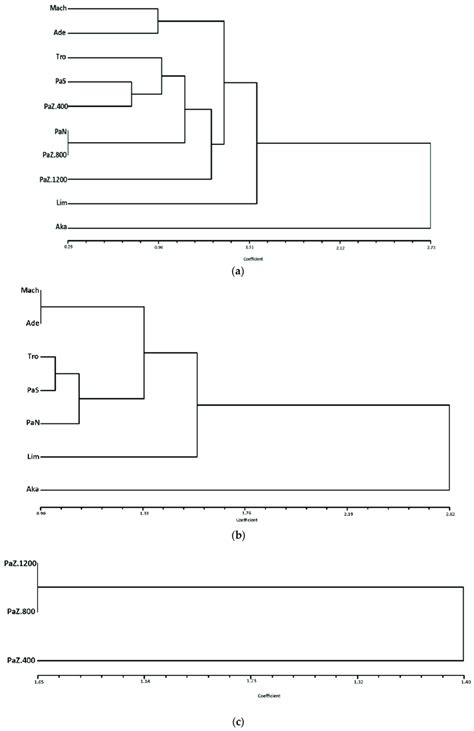 Unweighted Pair Group Method Wit Arithmetic Average Upgma Dendrogram