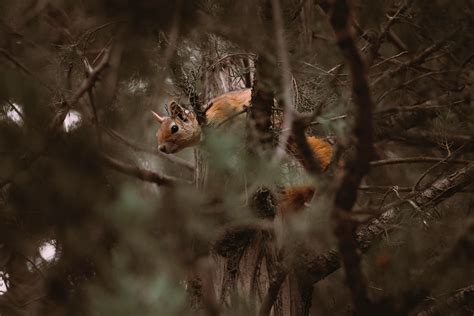 Classes And Objects In Ruby Ruby Is An Object Oriented Programming