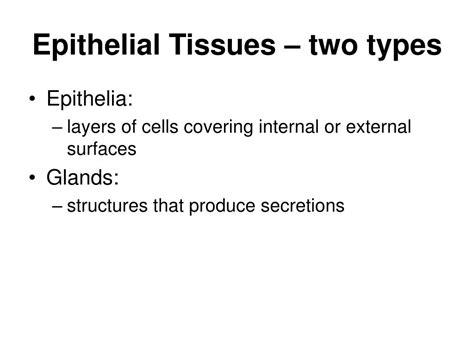 PPT Epithelial Tissue PowerPoint Presentation Free Download ID