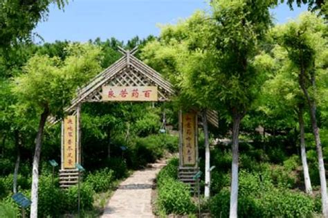 如何实现中医药强市天津开了张药方