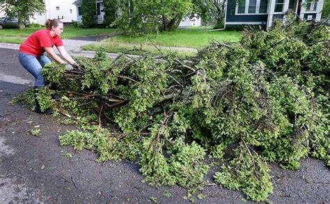 Affordable Tree Debris Removal Haul Away Services