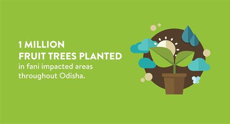 TREE PLANTATION The Climate Project