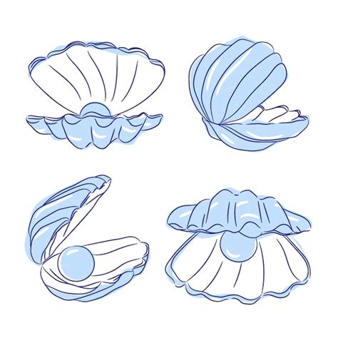 Open Shell Drawing